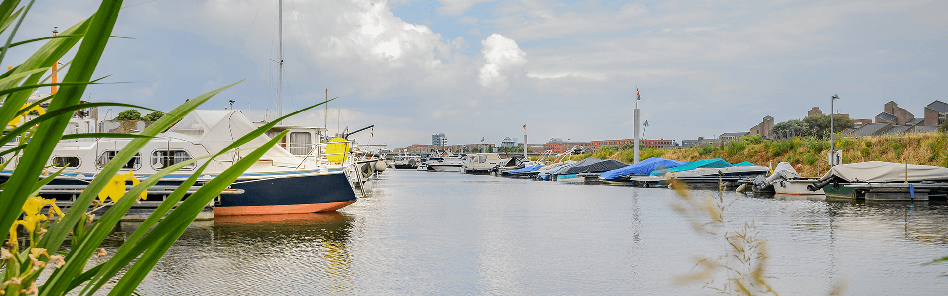 Home - WSC Treech'42